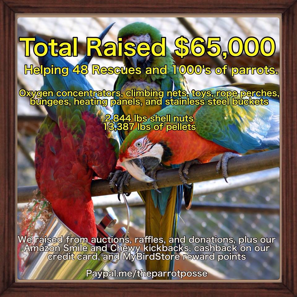 The 2018 Roundup - Welcome to The Parrot Posse